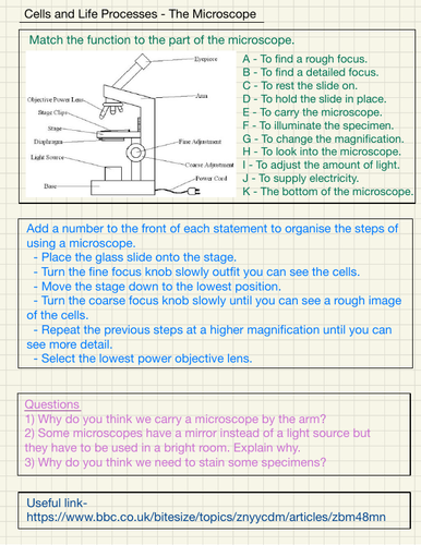 Key stage three Microscopes worksheet and answers | Teaching Resources