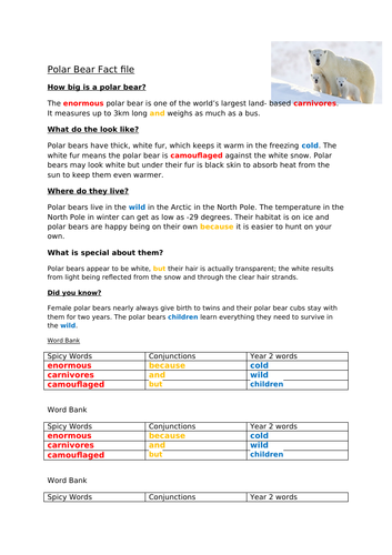 English Unit KS1 Rainbow Bear | Teaching Resources