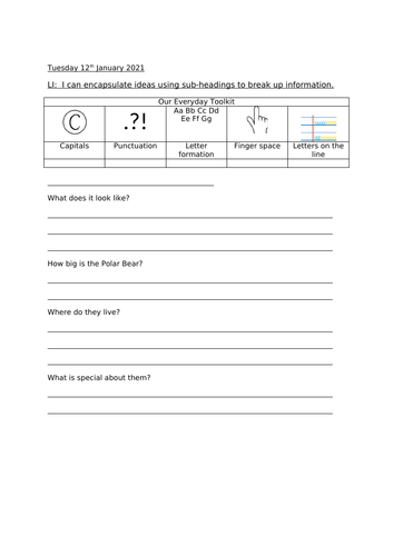 English Unit KS1 Rainbow Bear | Teaching Resources