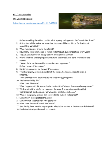 KS2 Reading Comprehension - The Unsinkable Lizard | Teaching Resources