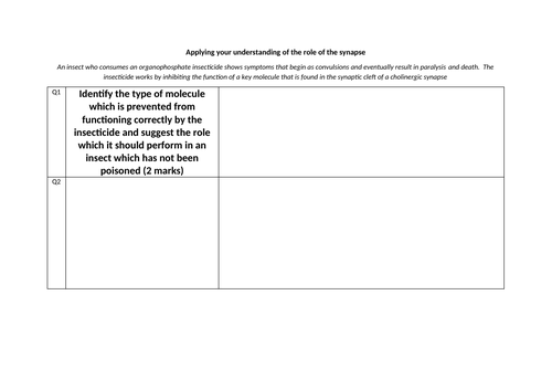 Synapses (Edexcel Int. A-level Biology) | Teaching Resources
