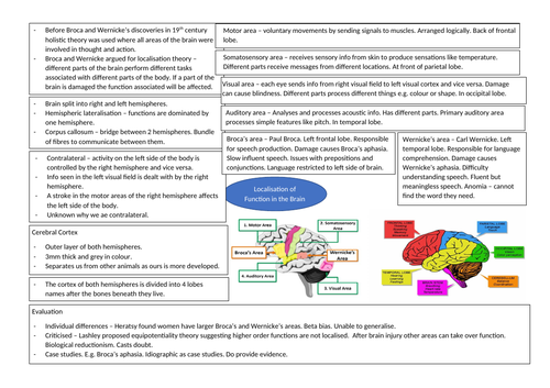 Psychology A-level Bio-psychology Revision Posters | Teaching Resources