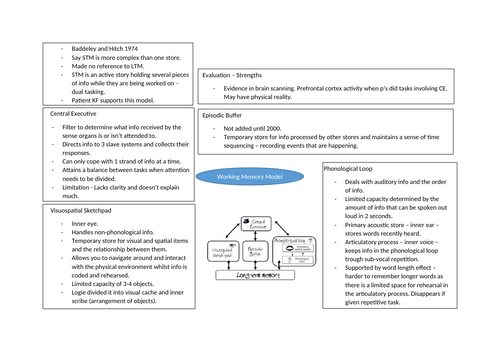 Psychology A-level Memory Revision Posters | Teaching Resources
