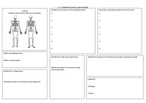GCSE PE Skeletal System Bundle | Teaching Resources