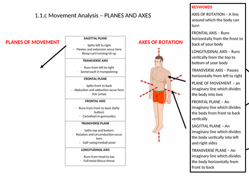 GCSE PE Movement Analysis Bundle | Teaching Resources
