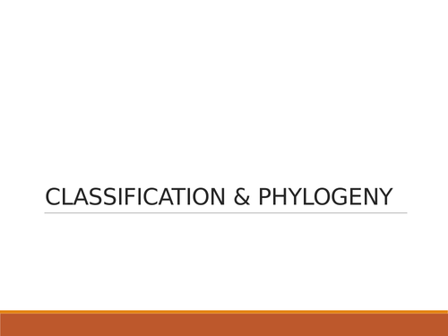 A Level Biology - Classification and Phylogeny | Teaching Resources