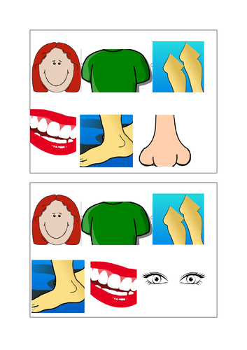 French parts of the body. | Teaching Resources