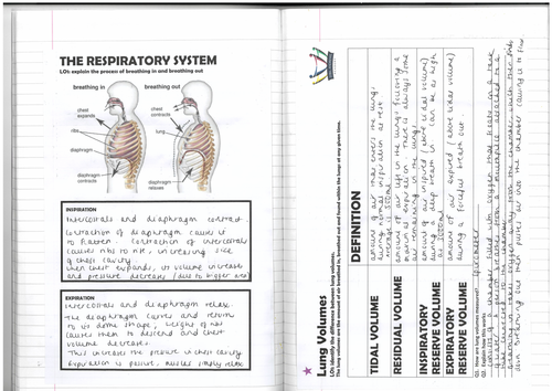 AQA GCSE PE Paper 1 PP and Resources | Teaching Resources