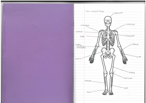 AQA GCSE PE Paper 1 PP and Resources | Teaching Resources