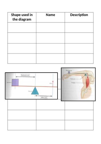 AQA GCSE PE Paper 1 PP and Resources | Teaching Resources