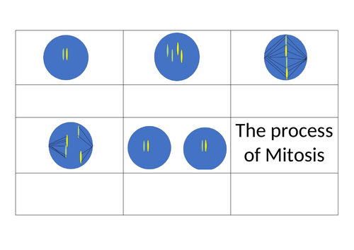 AQA GCSE Combined Science - Mitosis | Teaching Resources