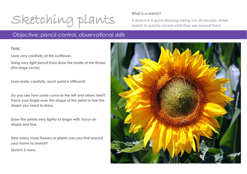 Art cover/independent task KS2 | Teaching Resources