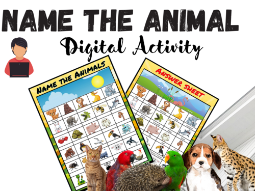 Digital Animal Guessing Activity | Teaching Resources