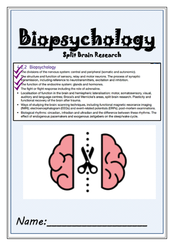 Split Brain Research - AQA A Level Psychology - Biopsychology Topic ...