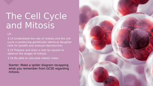 The Cell Cycle and Mitosis | Teaching Resources