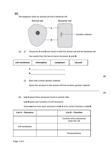 AQA GCSE Biology (9-1) B1.3 Eukaryotic and prokaryotic cells FULL ...