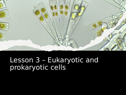 AQA GCSE Biology (9-1) B1.3 Eukaryotic and prokaryotic cells FULL ...