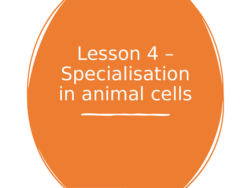AQA GCSE Biology (9-1) B1.4 Specialisation in animal cells FULL LESSON ...