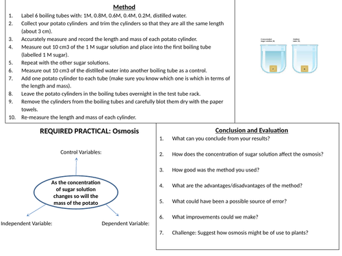 AQA GCSE Biology (9-1) B1.8 Osmosis in plants FULL LESSON | Teaching ...