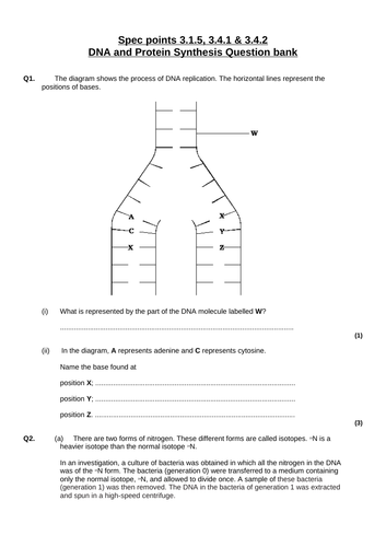 AQA A Level DNA and Protein synthesis | Teaching Resources