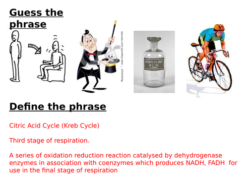 AQA A Level Respiration | Teaching Resources