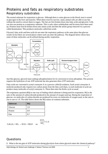 AQA A Level Respiration | Teaching Resources