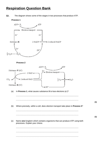 AQA A Level Respiration | Teaching Resources