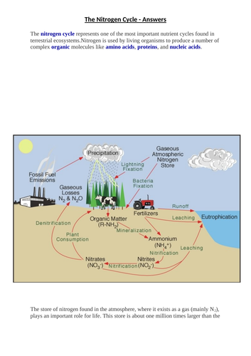 AQA A Level Energy transfers and nutrient cycles | Teaching Resources