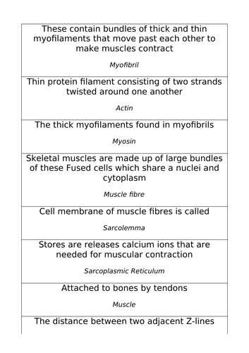 AQa A Level Muscles | Teaching Resources