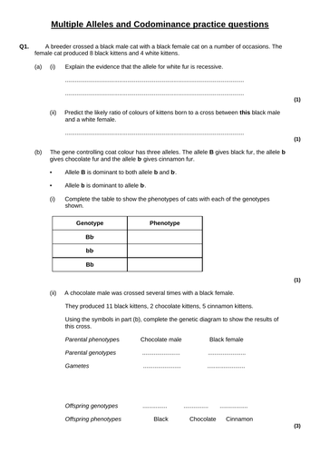 AQA A Level Inheritance | Teaching Resources
