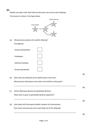 Sexual and asexual reproduction | Teaching Resources