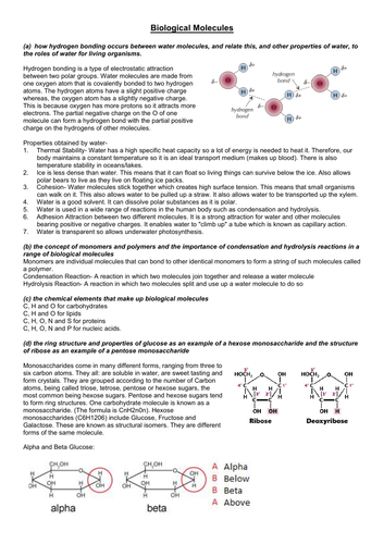 AS Biology Biological Molecules Notes | Teaching Resources