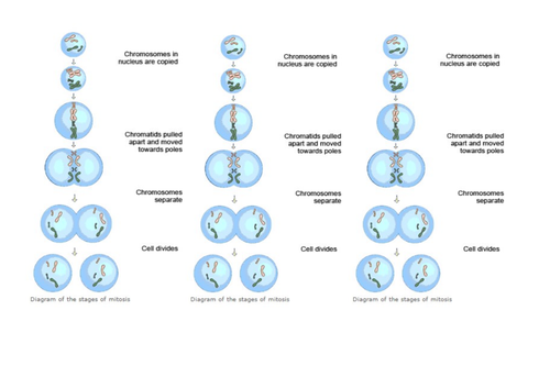AQA GCSE Biology (9-1) B2.1 Cell division - FULL LESSON | Teaching ...