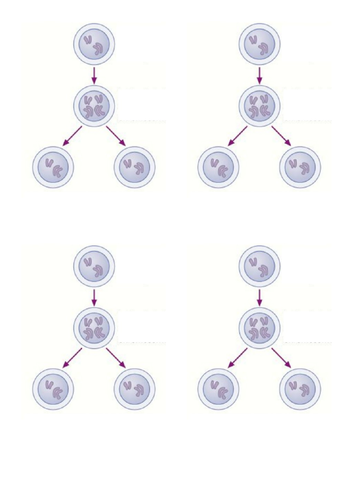 AQA GCSE Biology (9-1) B2.1 Cell division - FULL LESSON | Teaching ...