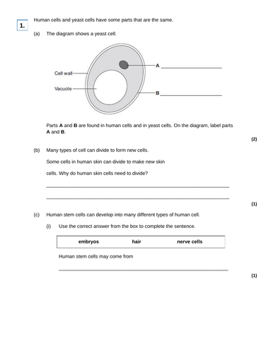 AQA GCSE Biology (9-1) B2.4 Stem cell dilemmas - FULL LESSON | Teaching ...