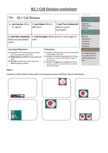 KS4 Cell Division (Mitosis) | Teaching Resources