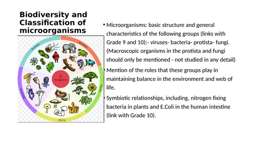 Classification of microorganisms_Viruses and Bacteria | Teaching Resources