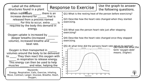 Exercise and Metabolism - GCSE Biology Worksheets | Teaching Resources