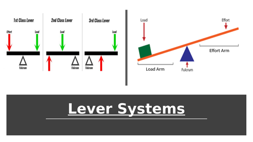 Edexcel GCSE PE Lever Systems Lesson | Teaching Resources Edexcel GCSE PE Lever Systems Lesson | Teaching Resources