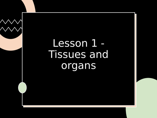 AQA GCSE Biology (9-1) B3.1 Tissues and organs FULL LESSON | Teaching ...