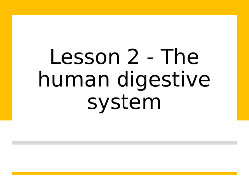 AQA GCSE Biology (9-1) B3.2 The human digestive system FULL LESSON ...