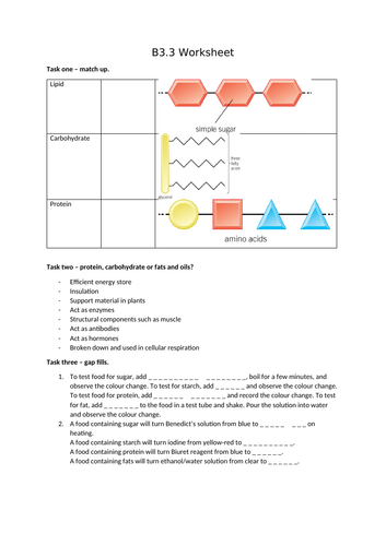 AQA GCSE Biology (9-1) B3.3 The chemistry of food FULL LESSON ...