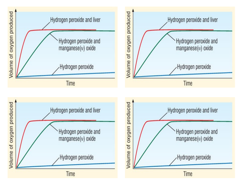 AQA GCSE Biology (9-1) B3.4 Catalysts and enzymes FULL LESSON ...