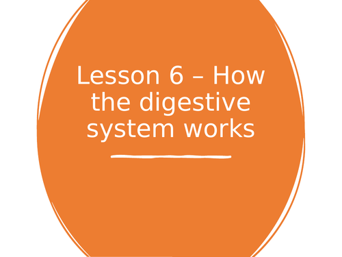 AQA GCSE Biology (9-1) B3.6 How the digestive system works & Required ...