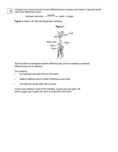 AQA GCSE Biology (9-1) B3.6 How the digestive system works & Required ...