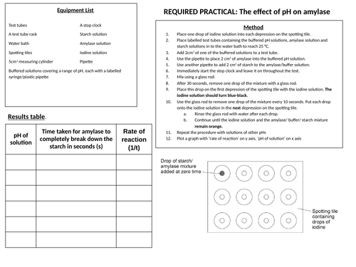 AQA GCSE Biology (9-1) B3.6 How the digestive system works & Required ...