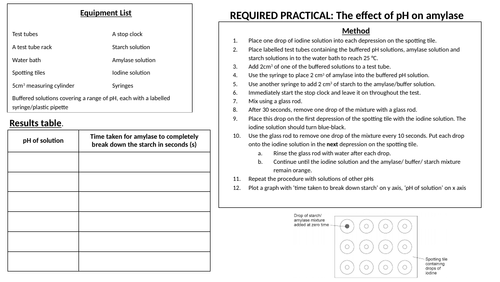 AQA GCSE Biology (9-1) B3.6 How the digestive system works & Required ...