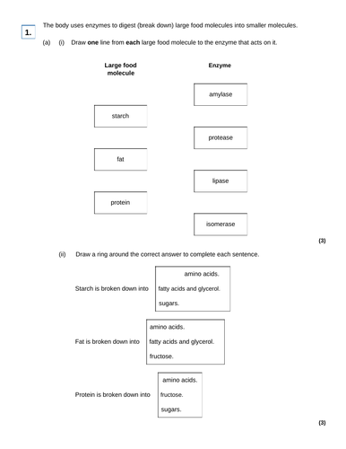 AQA GCSE Biology (9-1) B3 Organisation and the digestive system - ALL ...