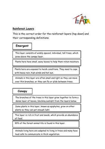 Rainforest Layers Worksheet (Amazon) | Teaching Resources