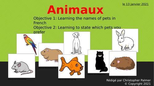 Key Stage 3 French: Pets and animals | Teaching Resources